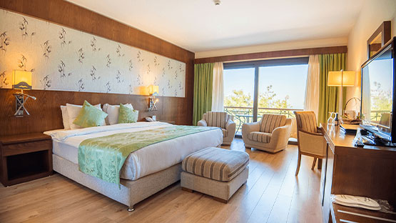 Standard Elite Room
